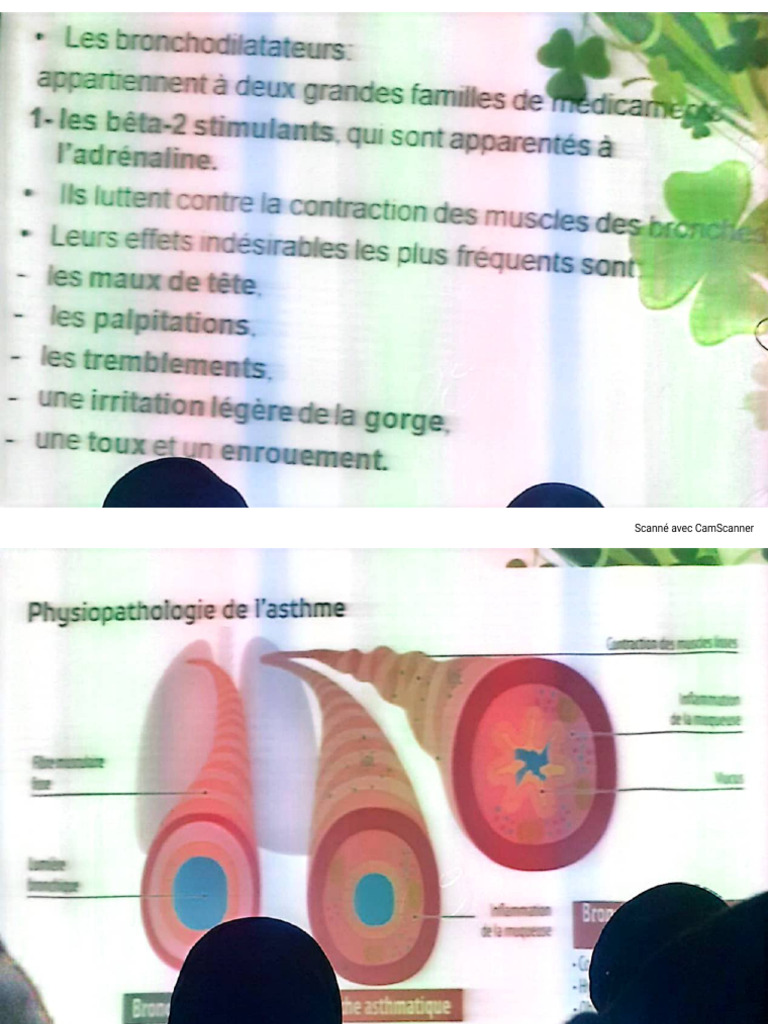 Fiche Thérapeutique Bronchodil, CRT | PDF