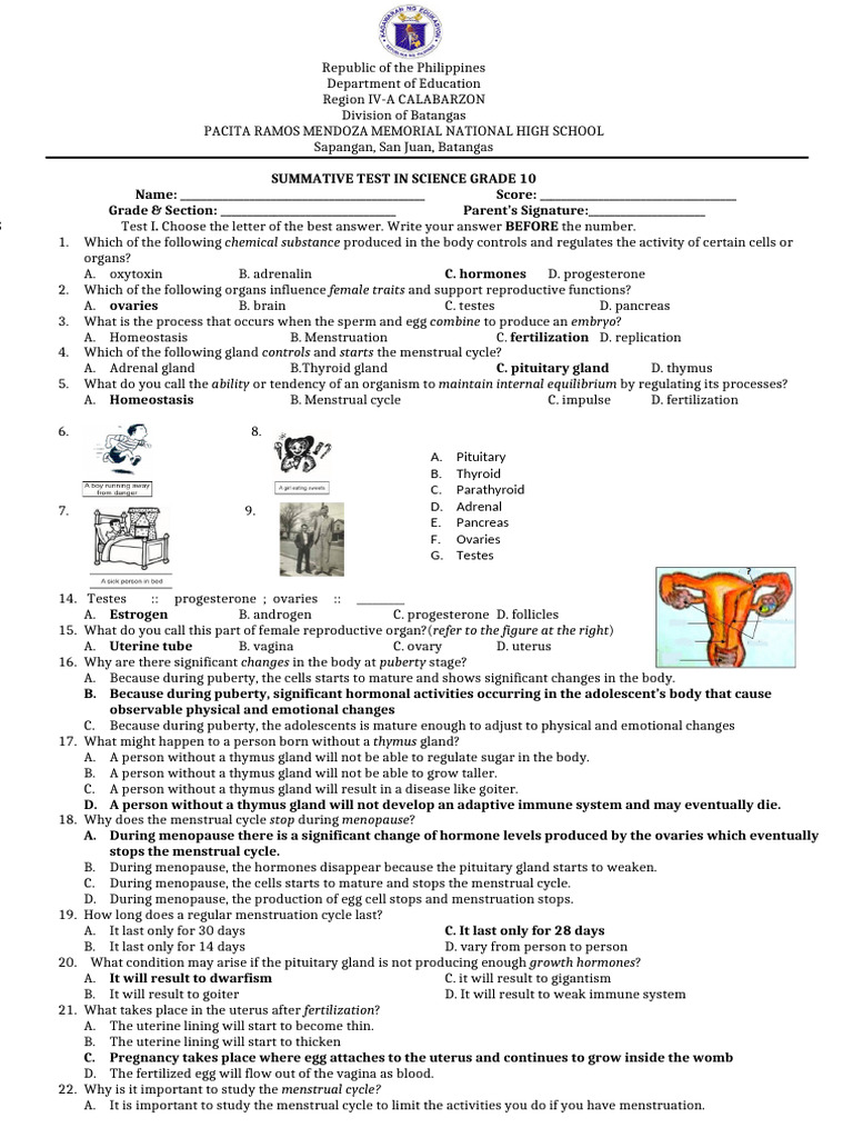G10 Summative Test Reproductive System | PDF | Menstrual Cycle ...