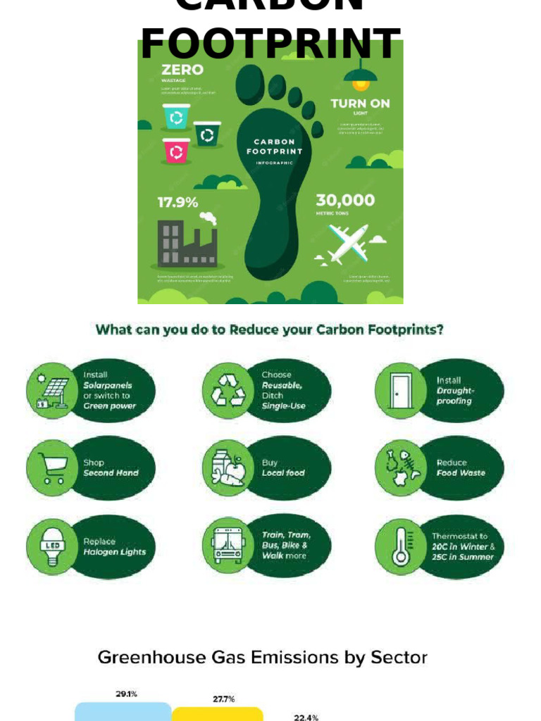Carbon footprint | PDF