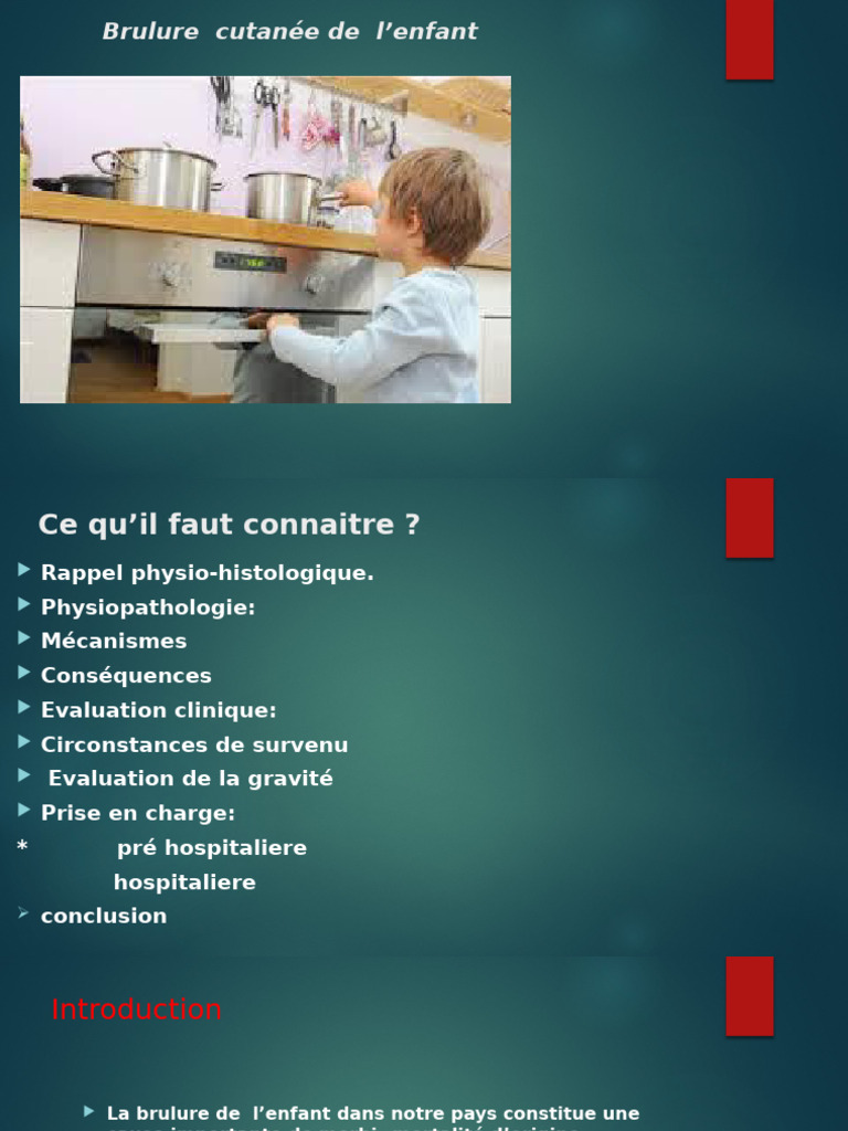 (C06) Brulures Cutanées | PDF | Brûlure | Peau