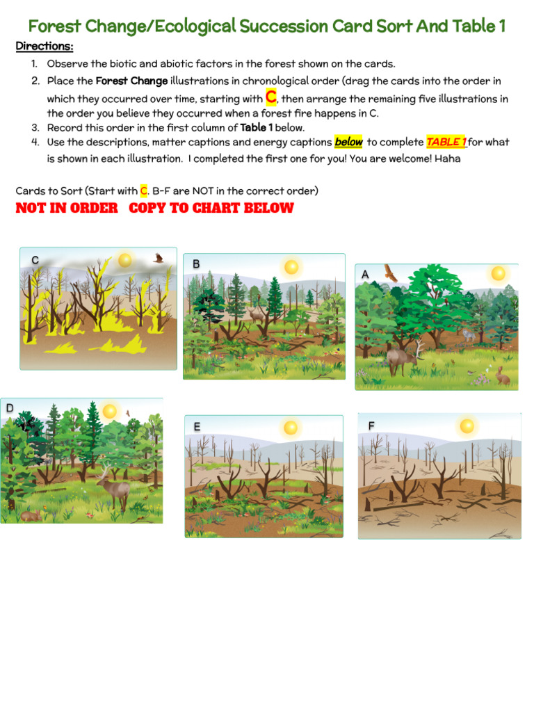 Copy of Forest Change_Ecological Succession cards and captions Table 1 ...