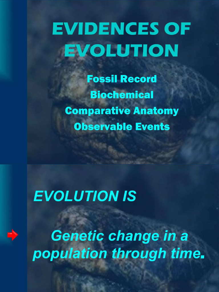Evidence of Evolution | PDF