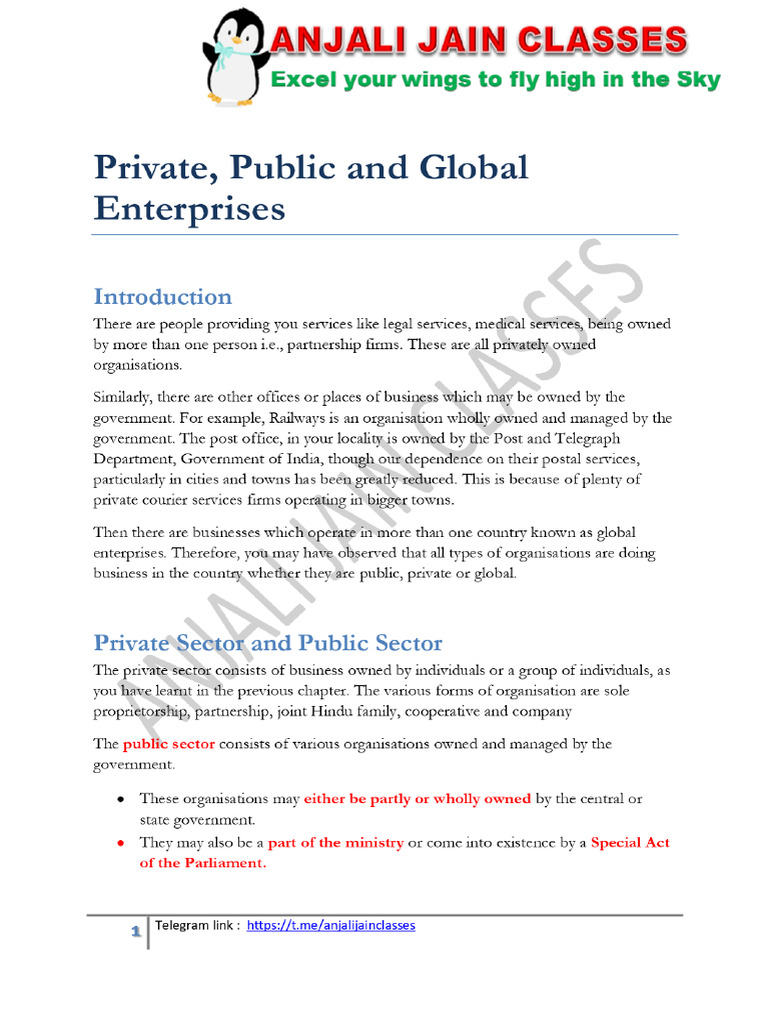Public vs. Private Sector Enterprises | PDF | Public–Private ...