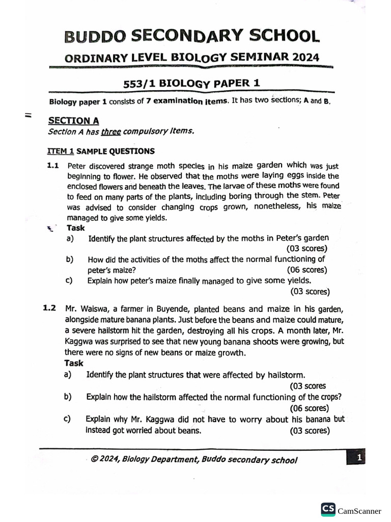 Biology Seminar Buddo SS 2024 Uce | PDF