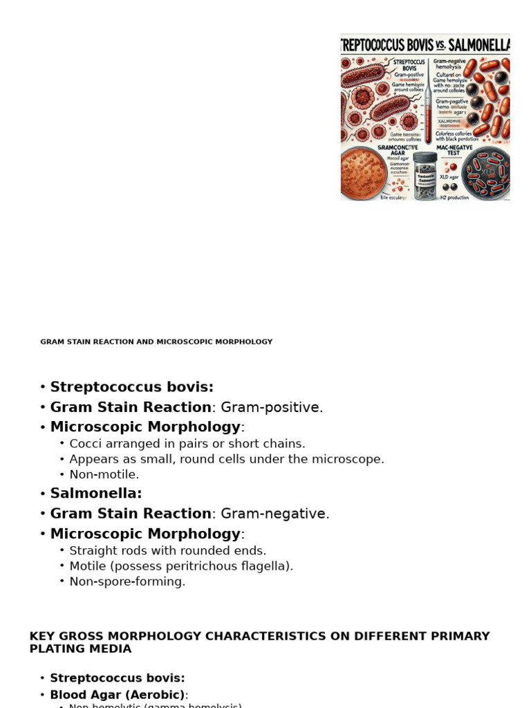 Presentation (3) | PDF