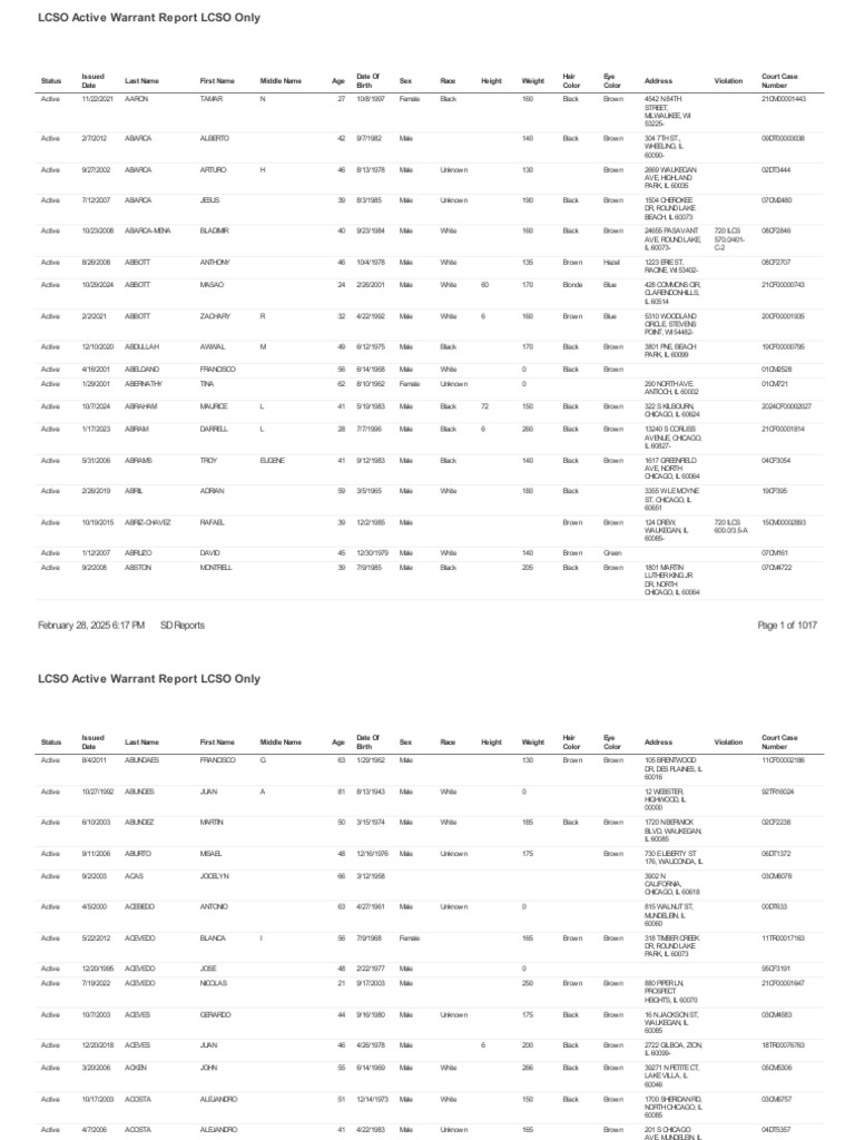 Active Warrant | PDF