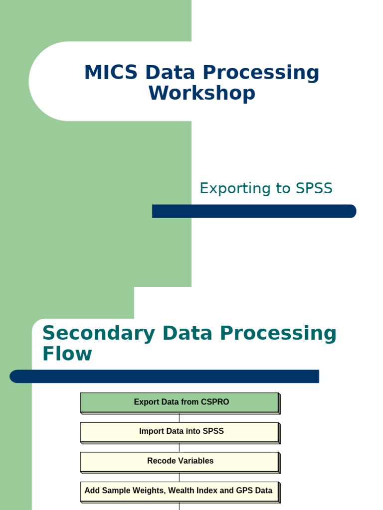 Exporting To SPSS | PDF | Spss | Information Technology Management