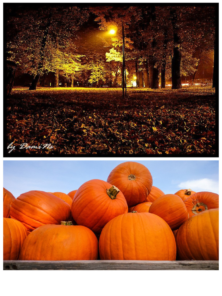 Halloween | PDF