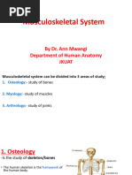 Understanding the Human Skeletal System | PDF | Bone | Skeleton