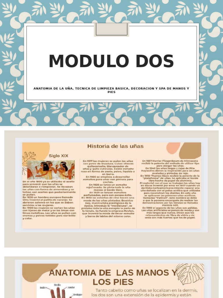MODULO DOS | PDF