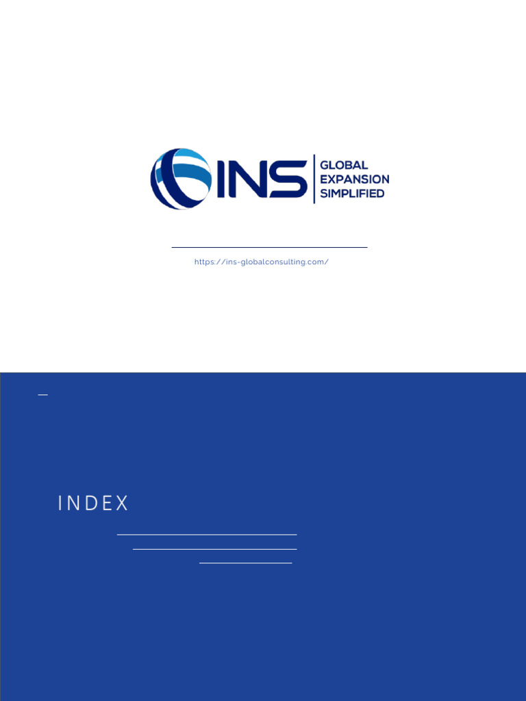 INS GLOBAL | PDF | Business | Economies
