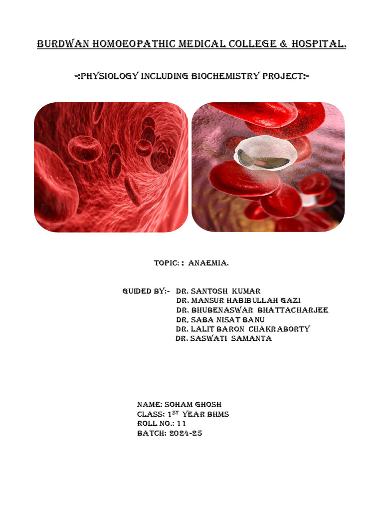 Soham Phy Proj. 1stpage | PDF