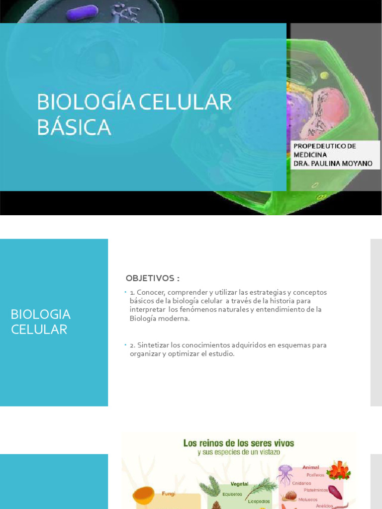 Biología Celular Básica Generalidades Historia | PDF | Humano | Embrión