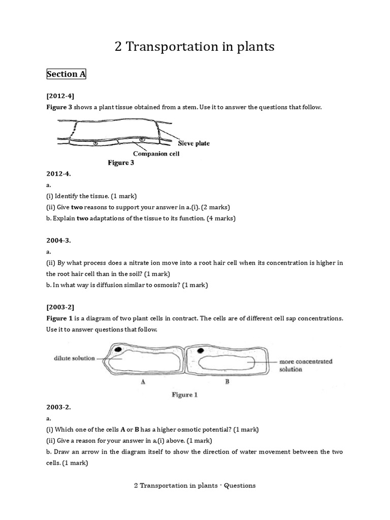 02 - Transportation - in - Plants Biology | PDF | Biology | Plants