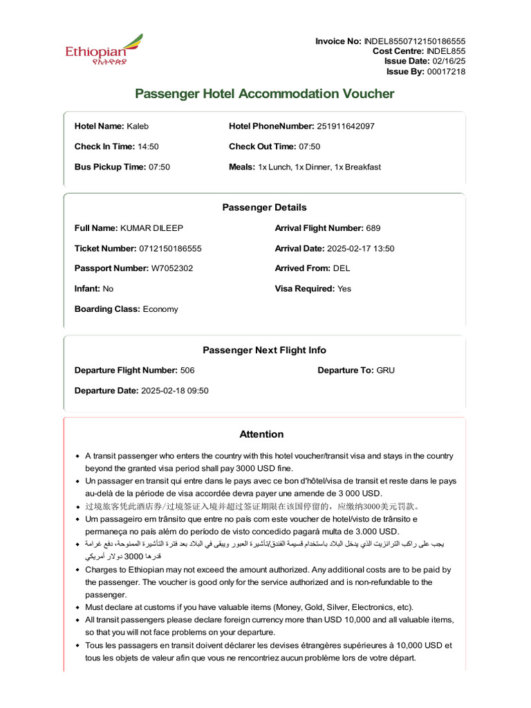 Hotel Voucher for Transit Passenger | PDF