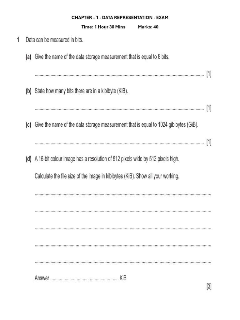 Chapter 1 - Exam | PDF