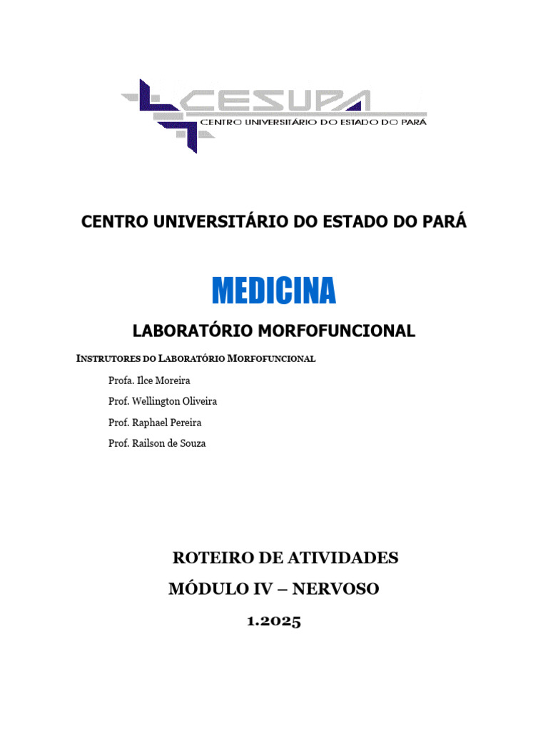 2025.1 - MD2-Nervoso-Roteiro 02 | PDF