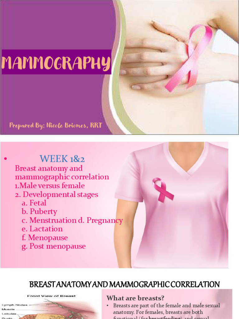Breast Anatomy and Mammography Overview | PDF | Breast | Nipple