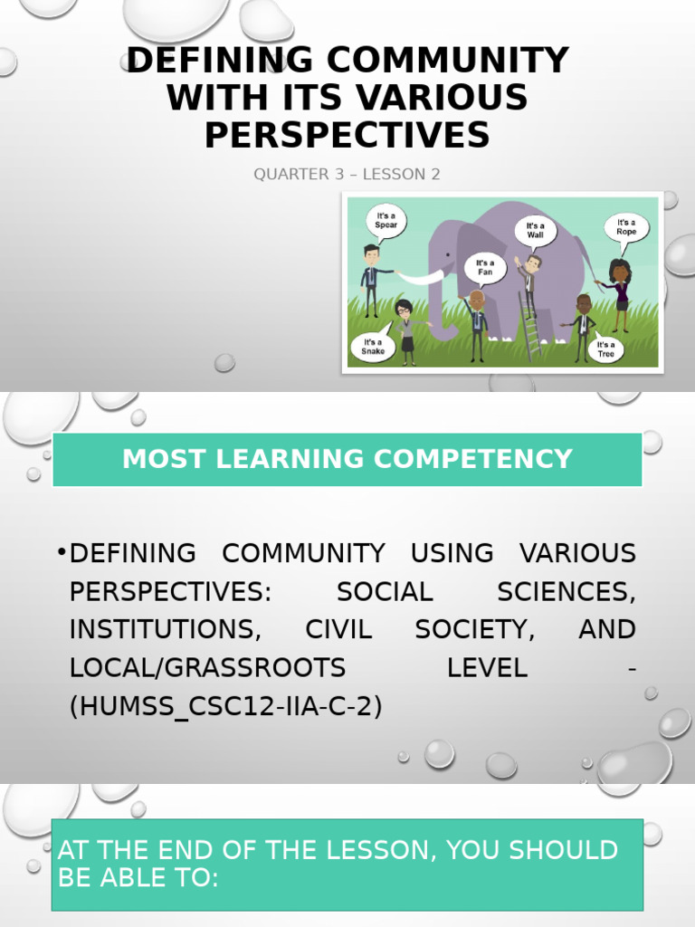 Understanding Community Perspectives | PDF | Community | Social Psychology