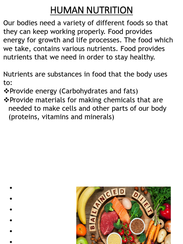 6 Classes of Nutrients Notes | PDF | Foods | Carbohydrates