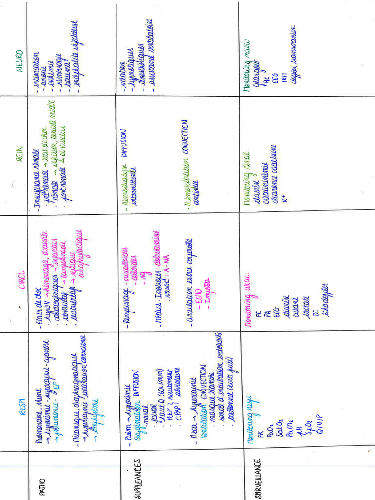 USI + URO + GYN Zo | PDF