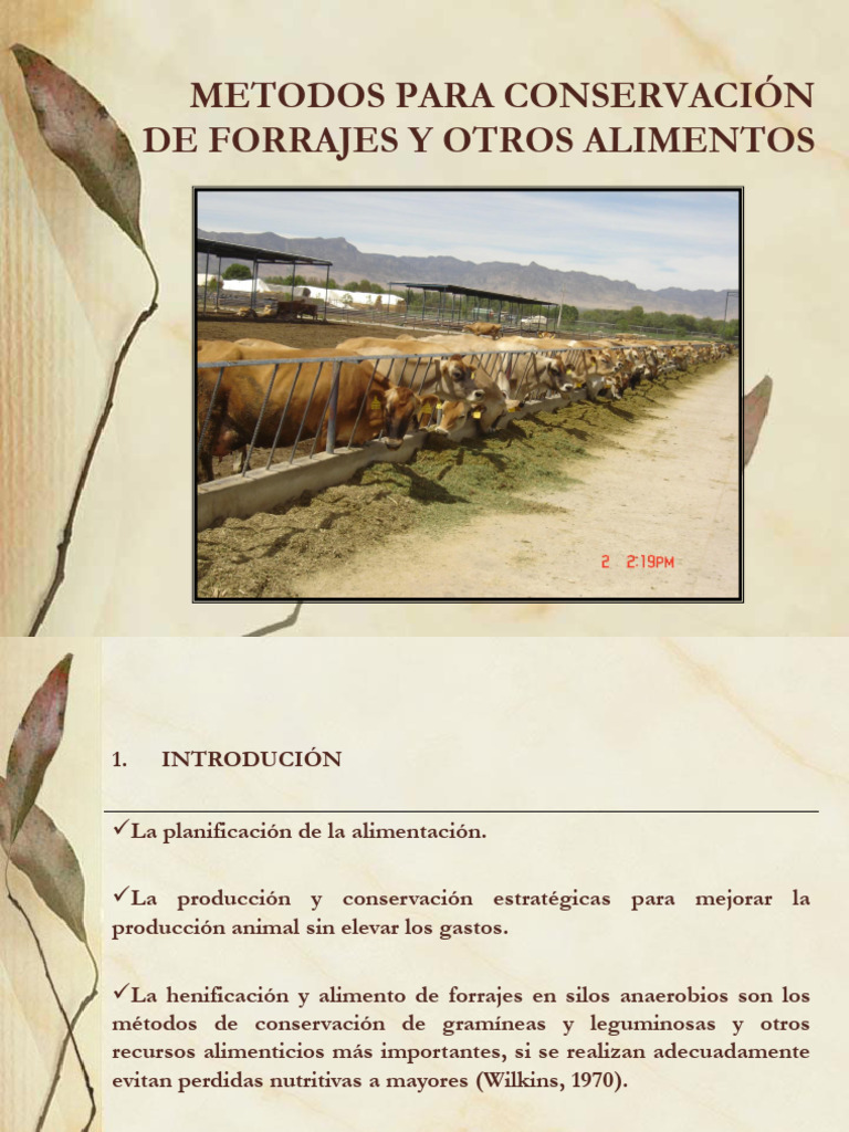 Metodos para Conservación de Forrajes y Otros Alimentos | PDF | Pasto | Alimentos