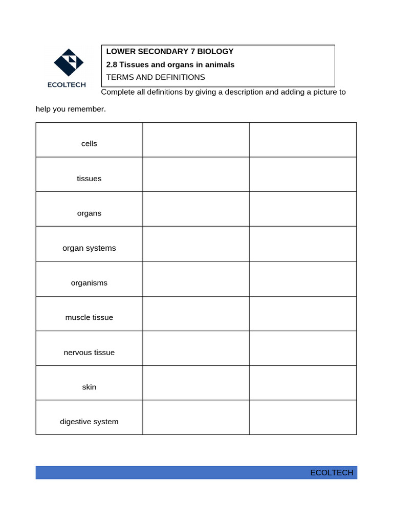 Animal Tissues and Organ Systems Guide | PDF