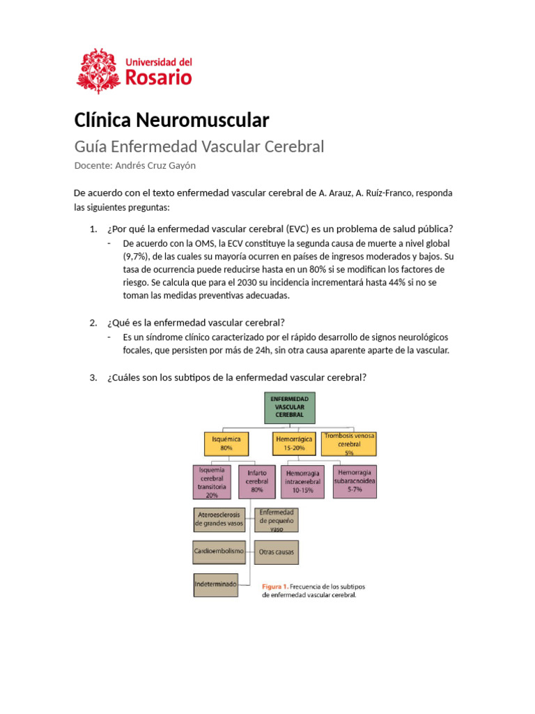 Guia Enfermedad Vascular Cerebral | PDF | Isquemia | Carrera