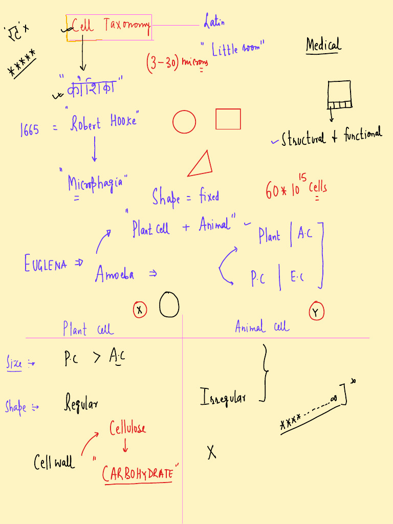 Cell Taxonomy-I PDF | PDF