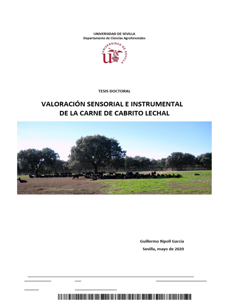 ?UTF-8?Q?Ripoll Garc C3 ADa, Guillermo Tesis | PDF
