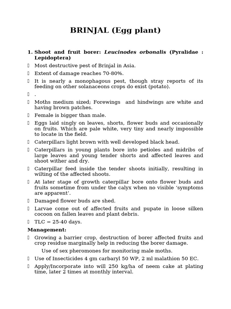 Pests of Brinjal | PDF | Leaf | Insects