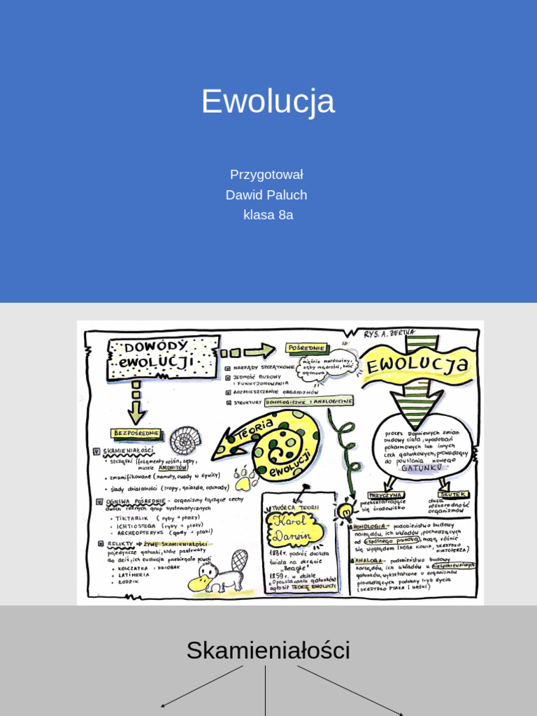 Ewo Lucja | PDF