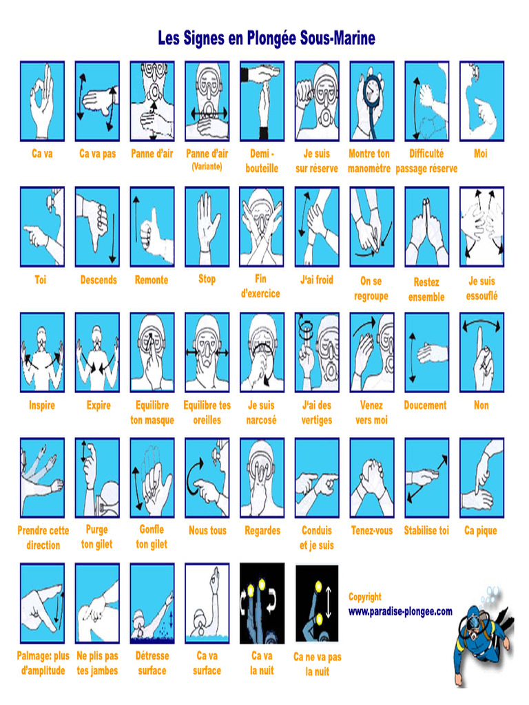 Signes en Plongée Sous-Marine | PDF