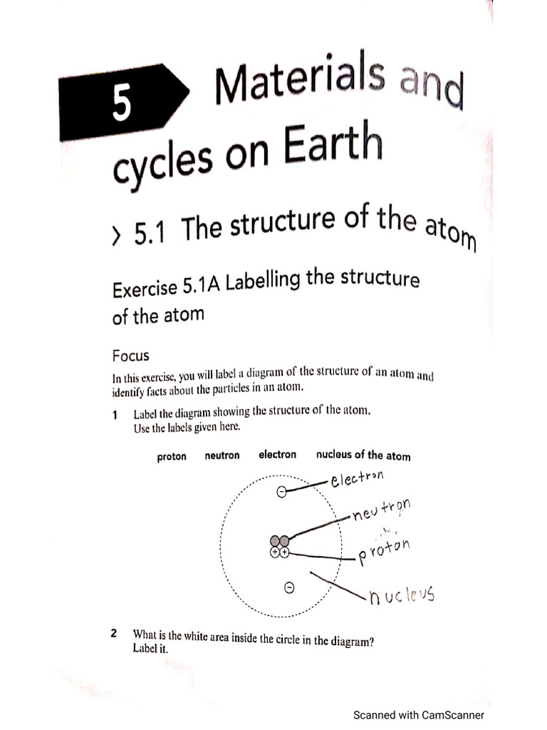 ch-5 Materials and Cycles On Earth | PDF