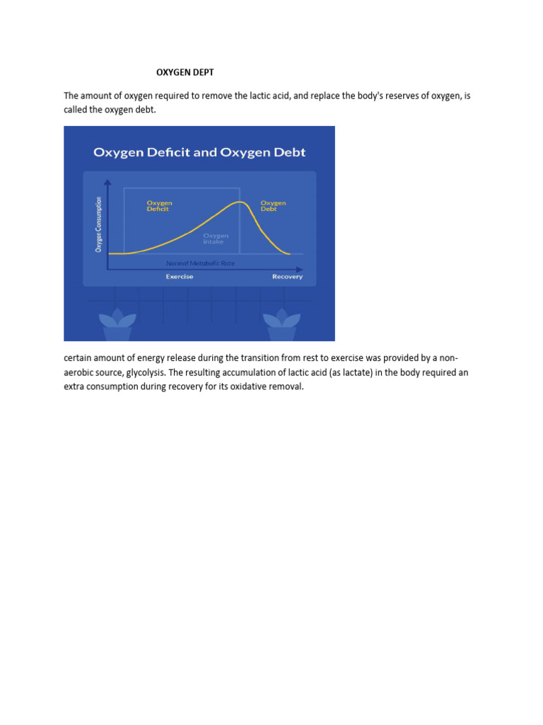 Understanding Oxygen Debt Recovery | PDF