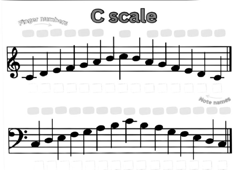 FREE Piano Worksheet C Scale For Beginners | PDF