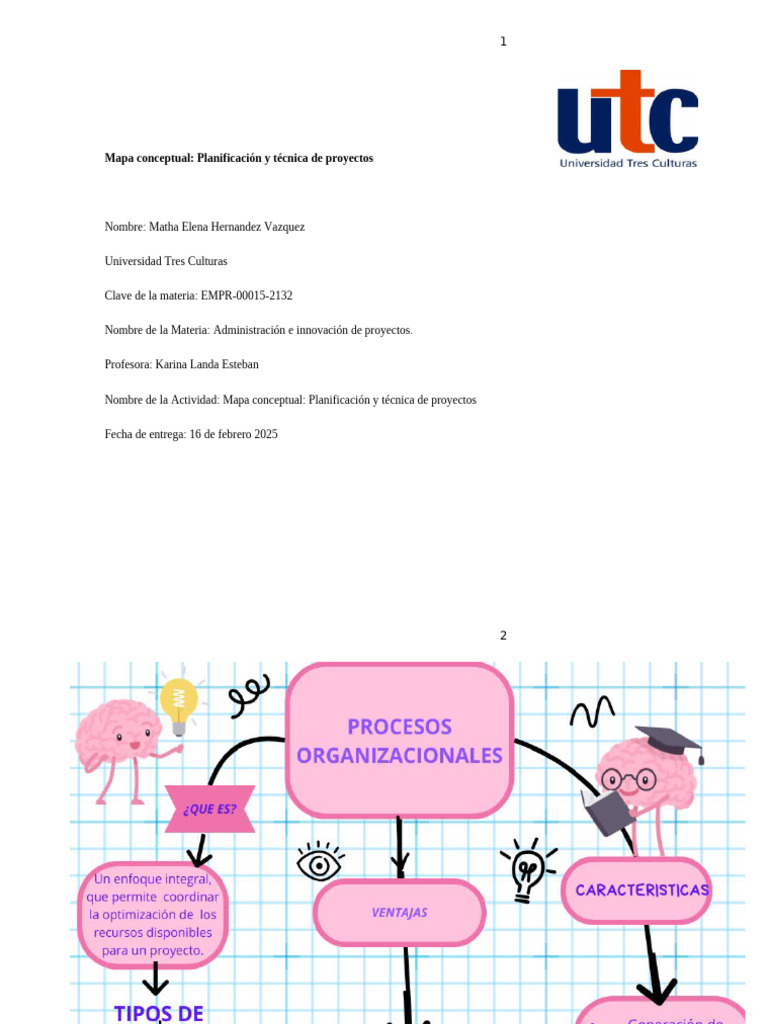 Actividad 1 Mapa Conceptual Planificación y Técnica de Proyectos | PDF