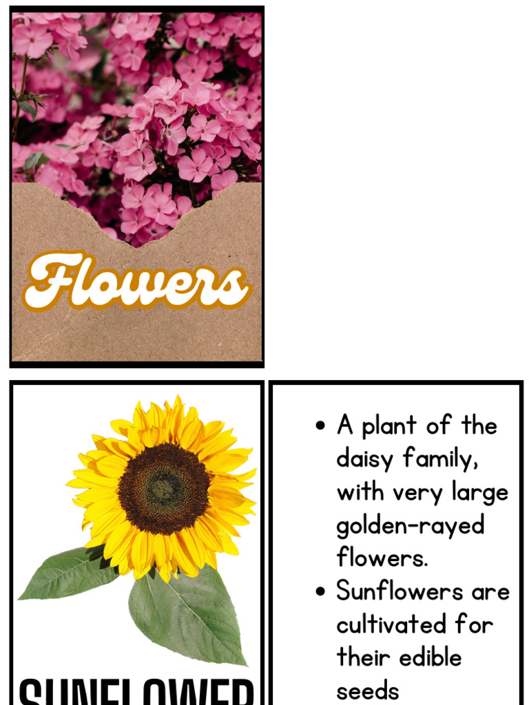 Flowers 20250301 231556 0000 | PDF