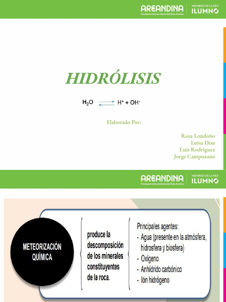 HIDROLISIS | PDF