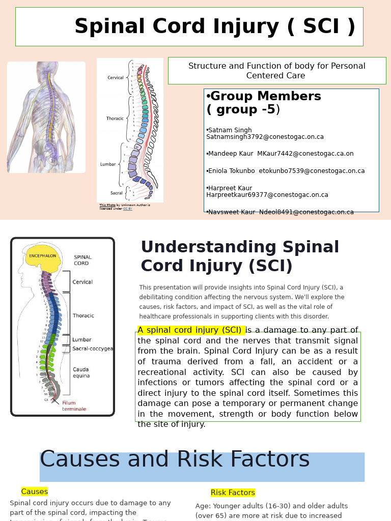 PSW1367 Presentation For Group 5 Project Spinal Cord Injury | PDF ...