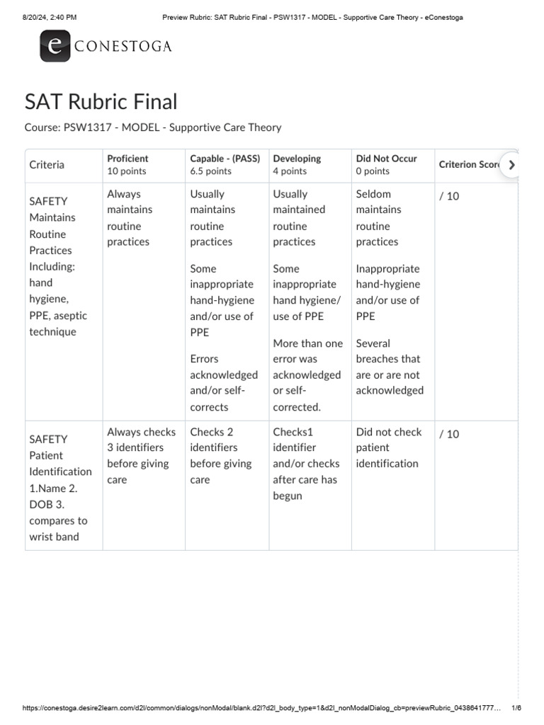 SAT Rubric Final - PSW Supportive Care Theory | PDF