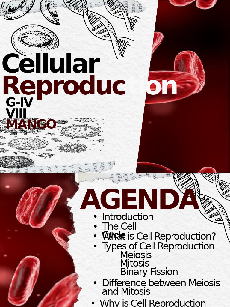 CELLULAR REPRODUCTION_20250226_040247_0000 | PDF | Meiosis | Mitosis