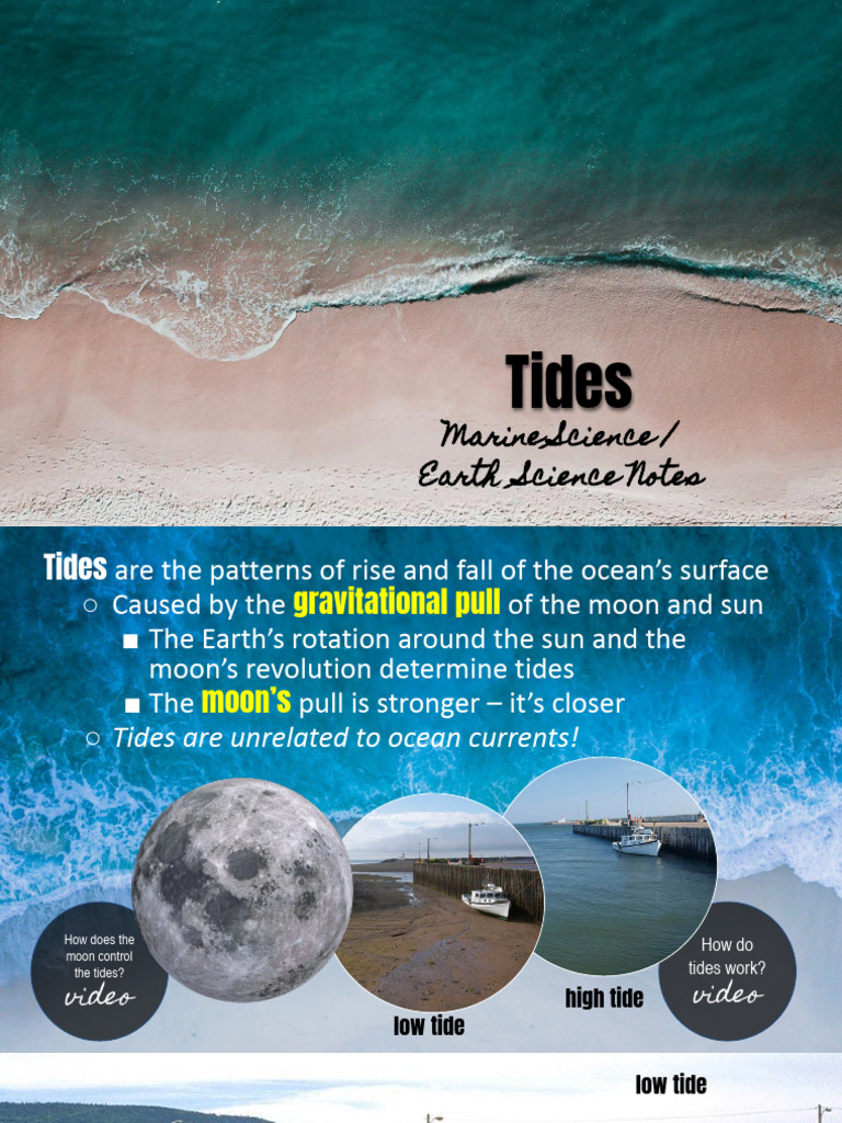 Notes - Tides | PDF | Tide | Estuary