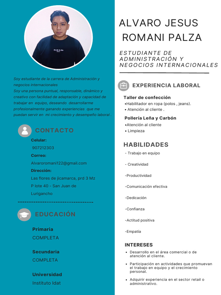 Cv Álvaro Jesus Romani | PDF