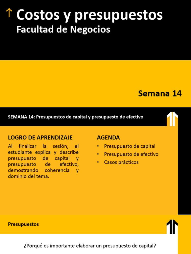 S14 - UPN PPT - Presupuesto de Capital | PDF | Presupuesto | Business