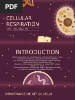 Functions and Composition of Succus Entericus | PDF | Digestive System ...