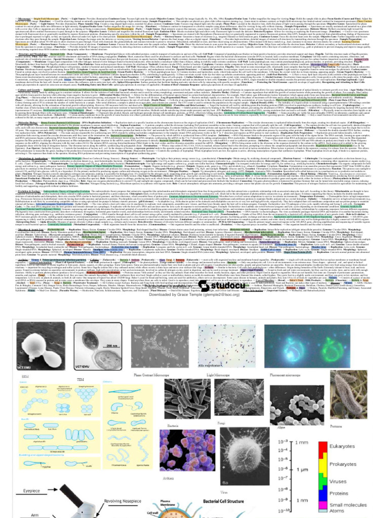 Microbe Mission Cheat Sheet 2025 | PDF | Operon | Messenger Rna