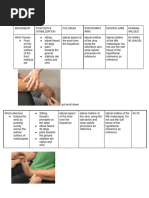 Upper Limb Normal ROM Values | PDF