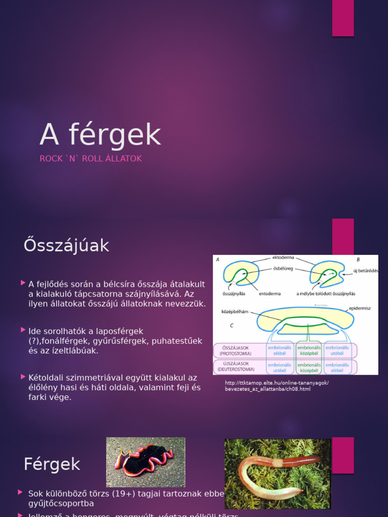 A Férgek 2021 | PDF