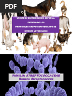 Características del exudado purulento | PDF | Infección | Medicina CLINICA